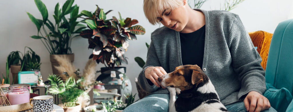 Bark into Spring Safely: Tips for Dog Owners Delight