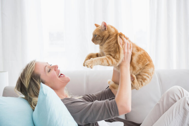 Positive Reinforcement Cat Training: A Guide